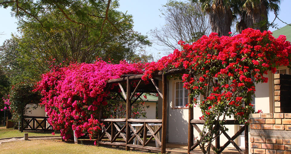 GoMelo - Lowveld Lodge